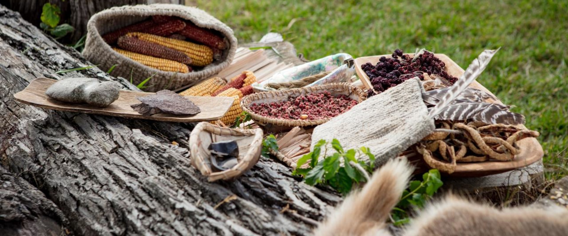 Exploring the Rich Heritage of Northeastern Texas Through Its ...